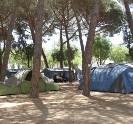 Parcelas en Playa de Aro, Costa Brava | Camping Valldaro